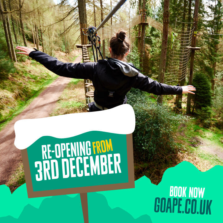 Go Ape Mallards Pike, Forest of Dean - Lydney - Nextdoor