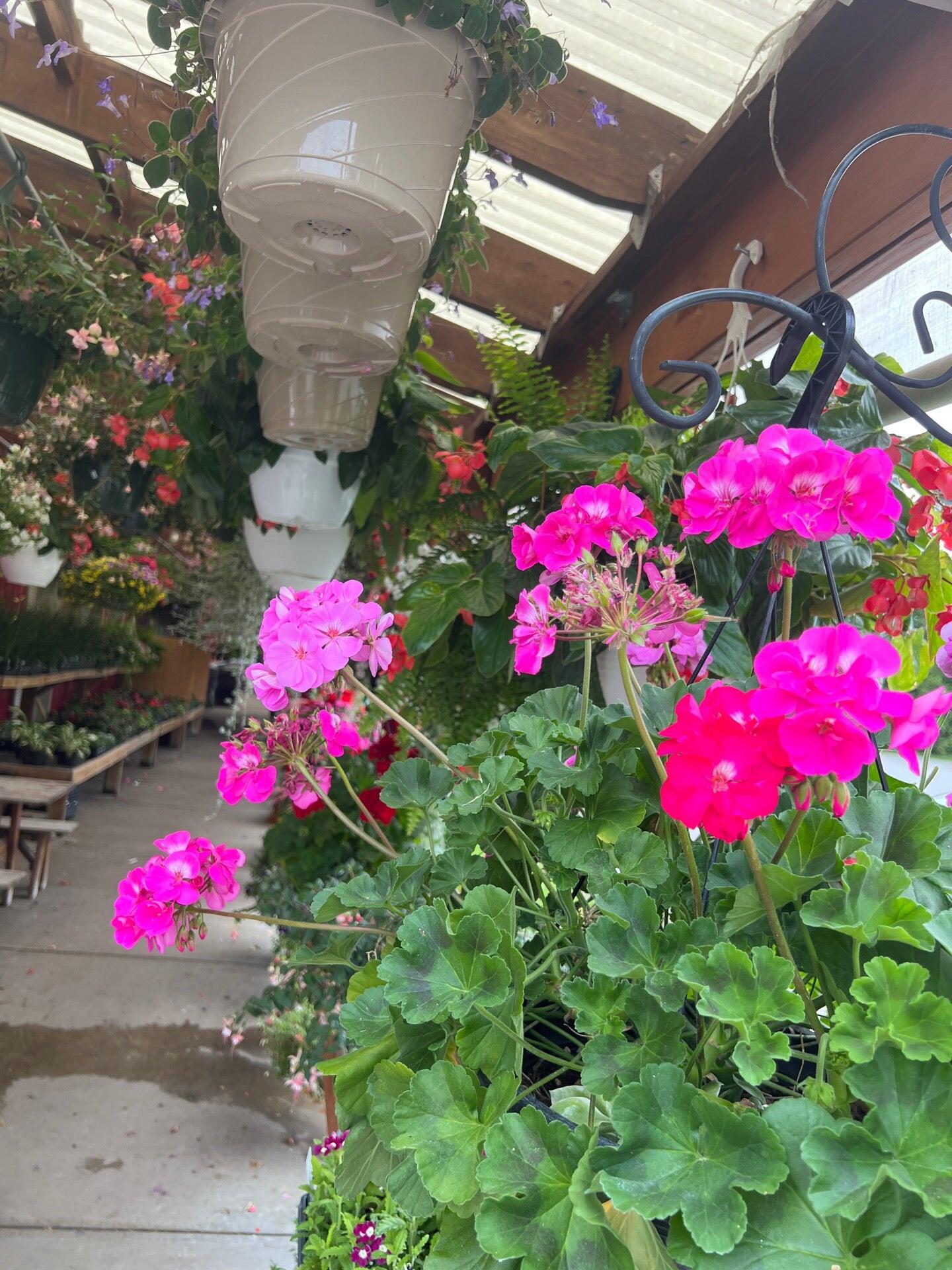 Butler Farm Market - Renfrew, PA - Nextdoor