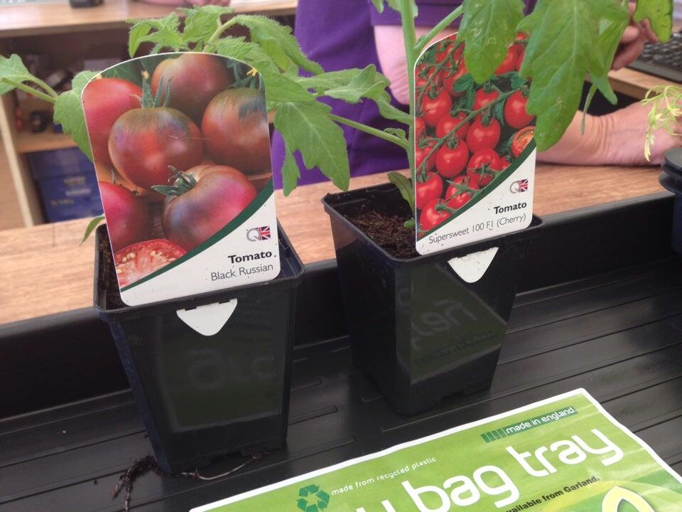 The Barn Garden Centre - Oundle - Nextdoor