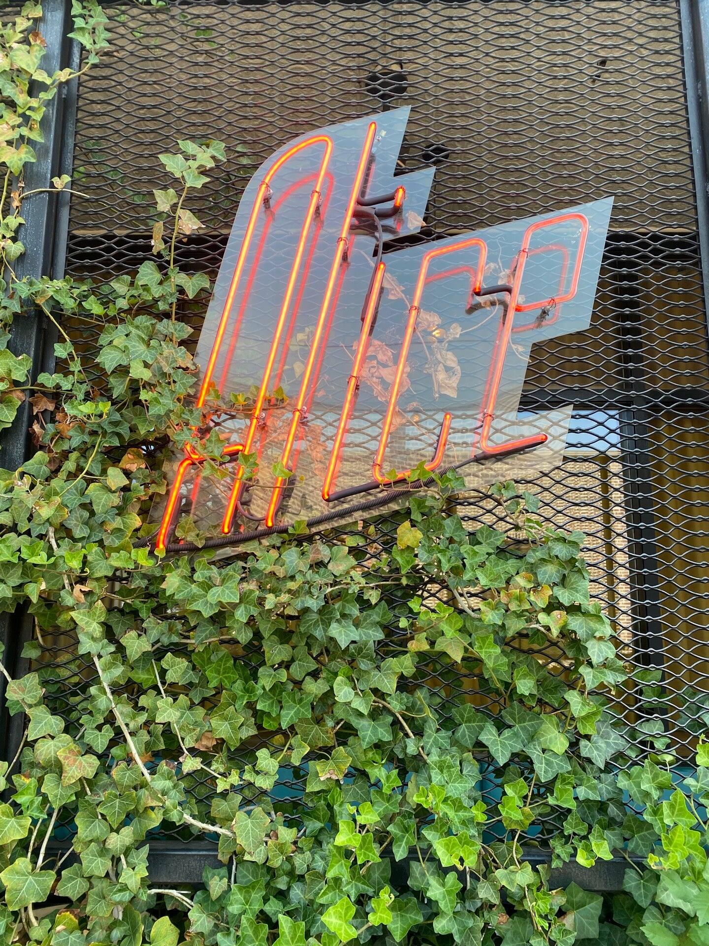 Alice - Dallas, TX - Nextdoor