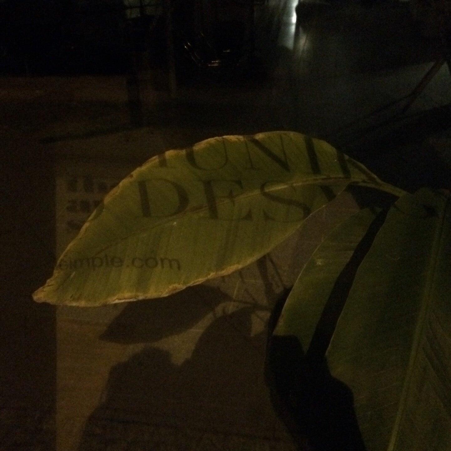 Stupid and Simple - Nextdoor