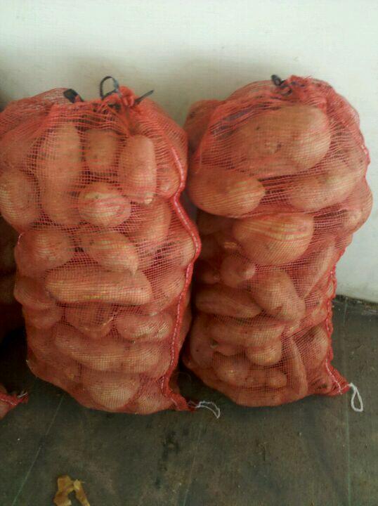 Winberry Farm Stand - Cedar Point, NC - Nextdoor