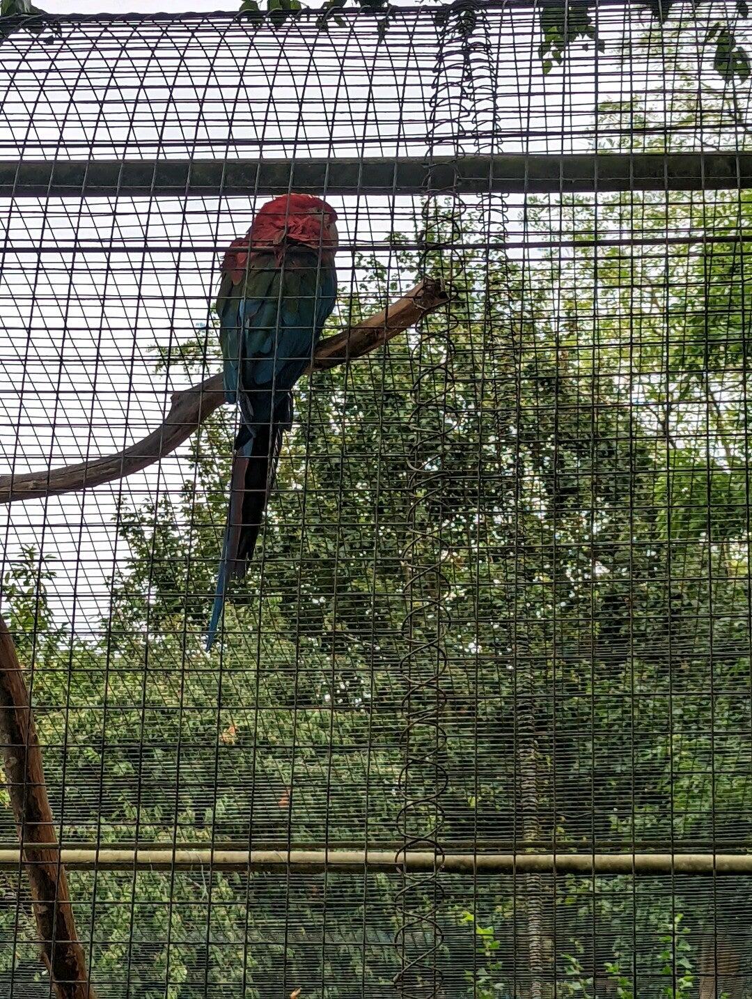 London Zoo Car Park - London - Nextdoor