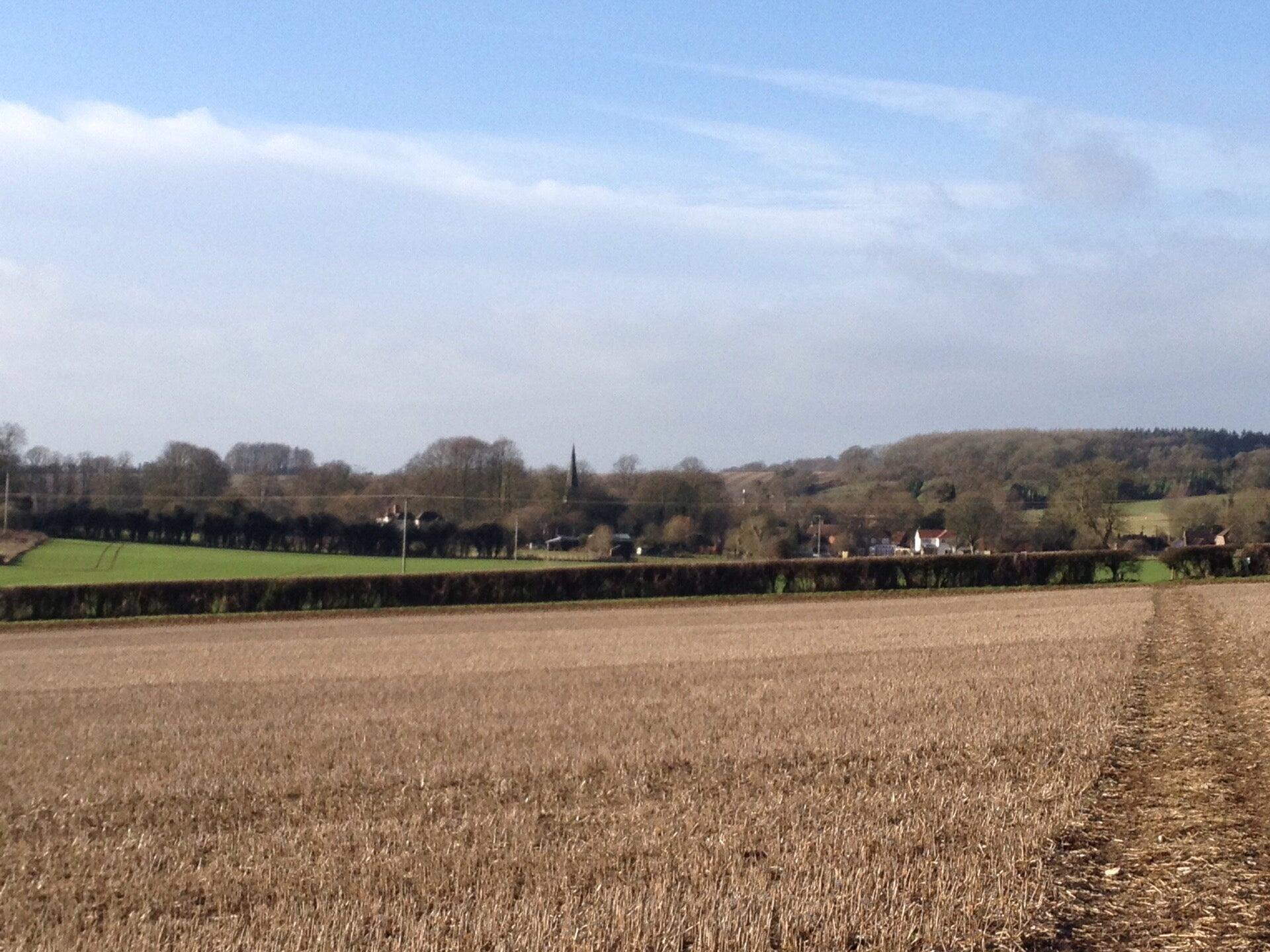 Purefoy Arms - Preston Candover - Nextdoor