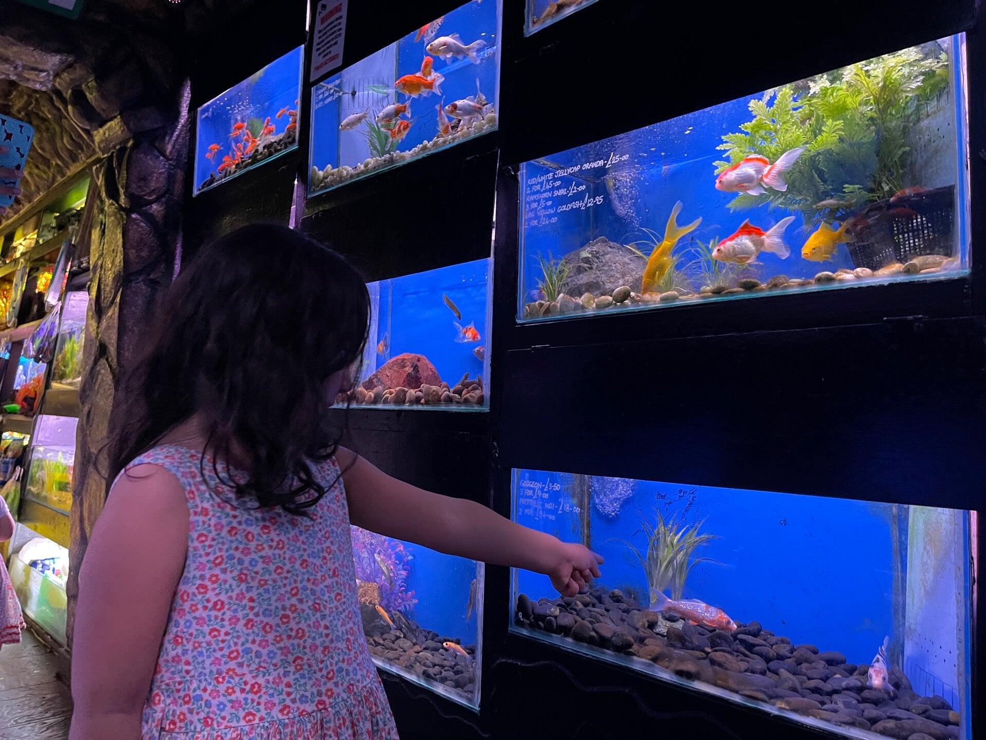 Manchester Pets & Aquatics - Manchester - Nextdoor