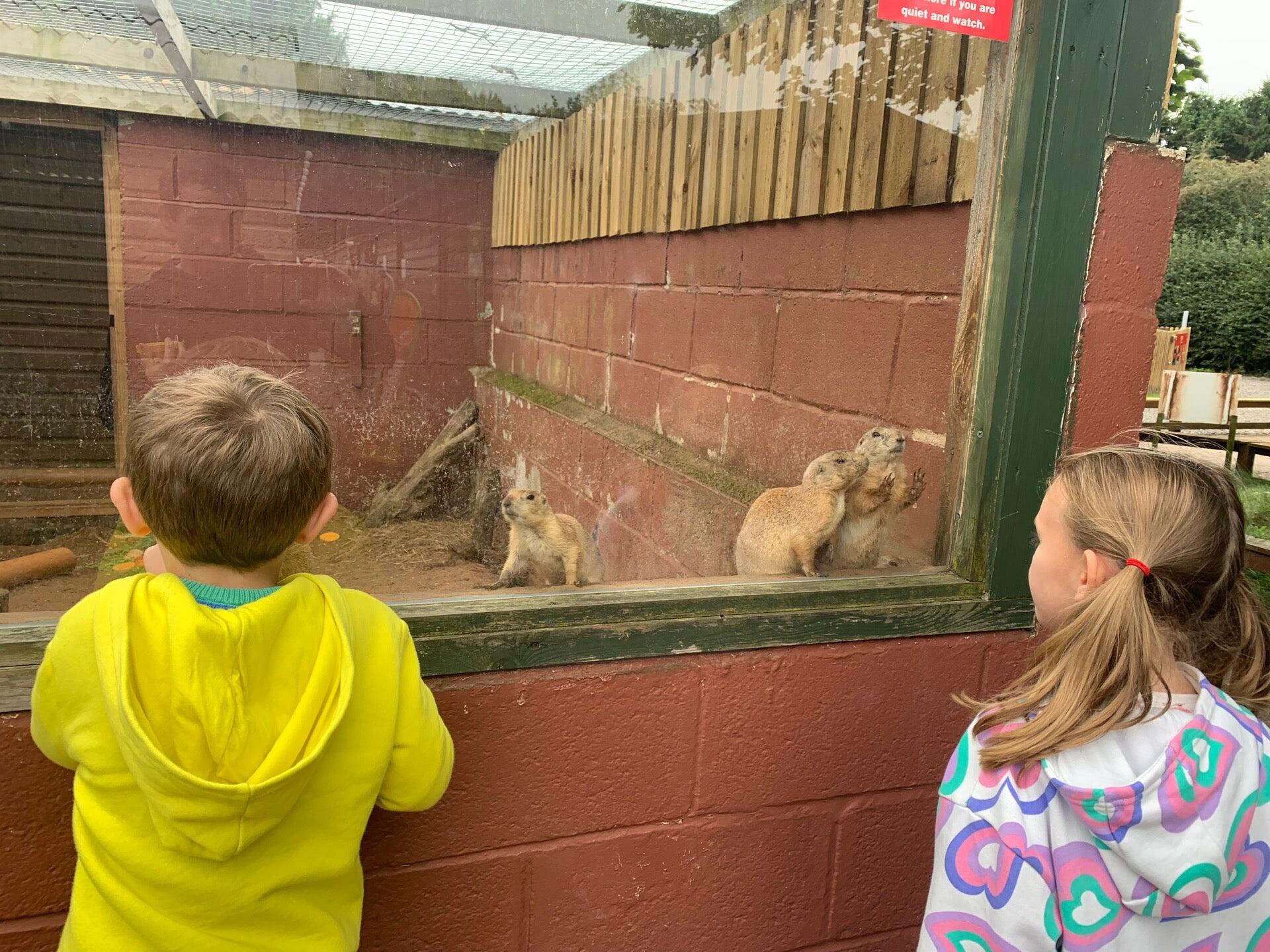 Hoo Farm Animal Kingdom - Hoo St Werburgh - Nextdoor