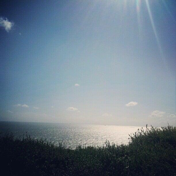 Bluebirds - Dover - Nextdoor