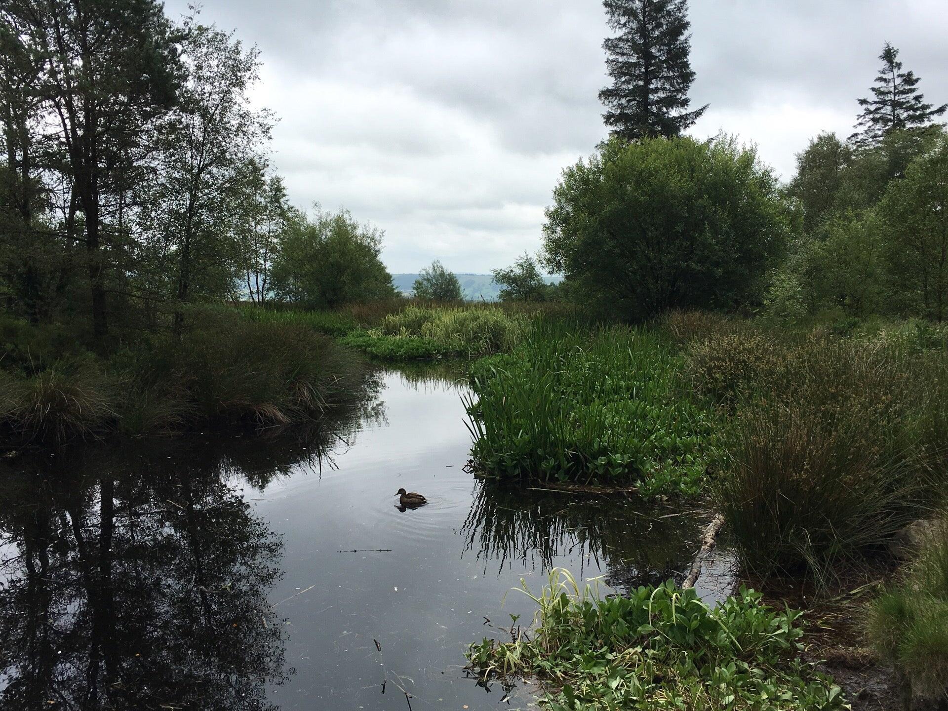 Windy Harbour Holiday Park - Great Singleton - Nextdoor