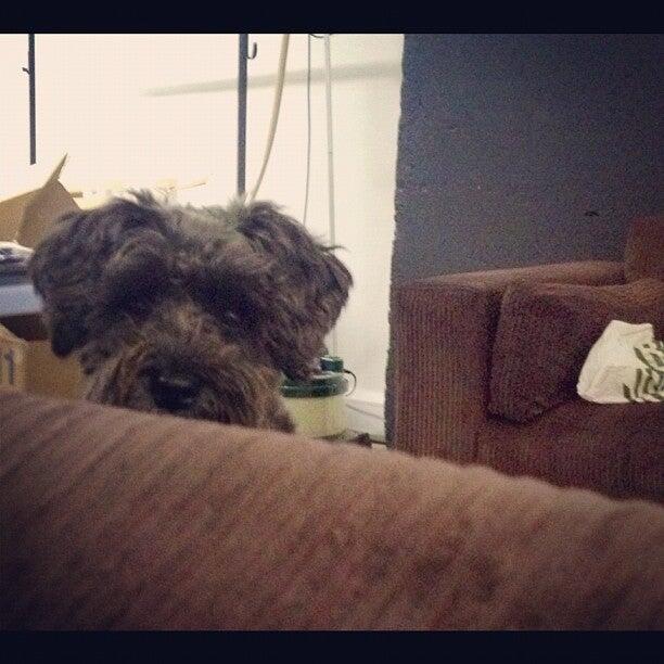 Pear Tree Studio - London - Nextdoor