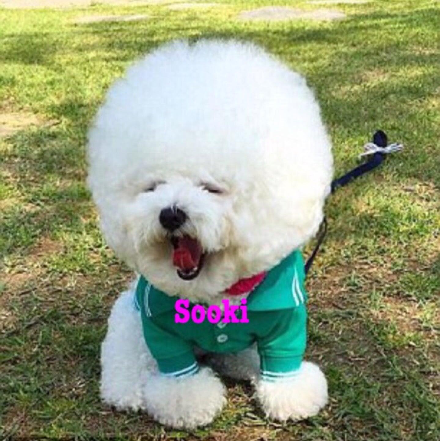 CBS Case Competition Office - Nextdoor