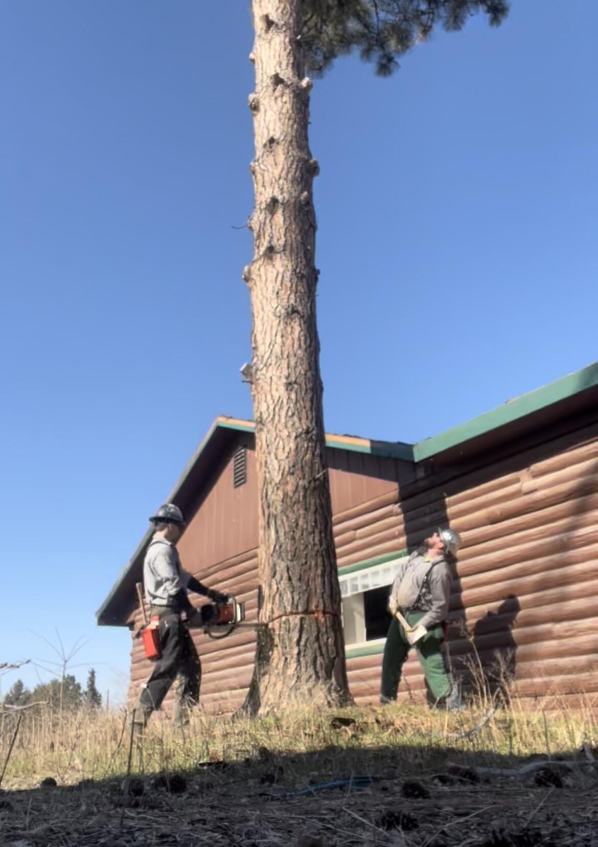 HB Saw Service - Nextdoor