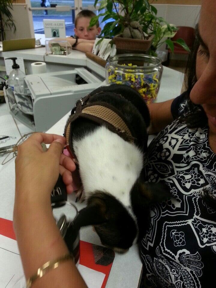 Theodore Veterinary Hospital - Theodore, AL - Nextdoor