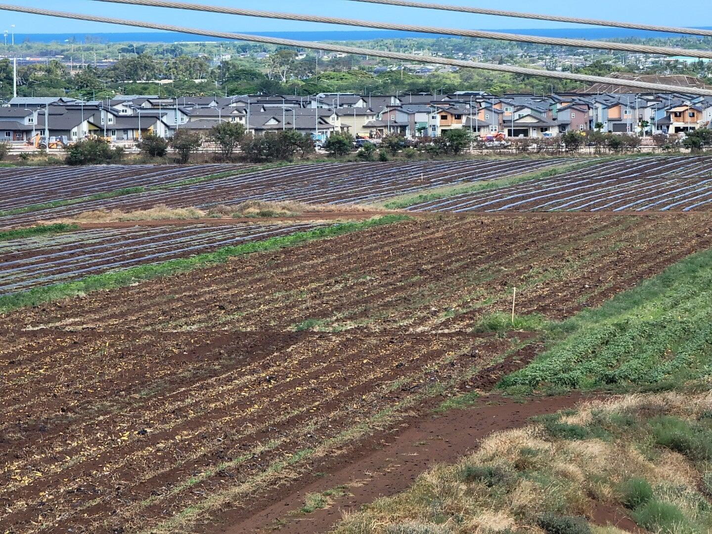 Aloun Farm, Inc. - Kapolei, HI - Nextdoor