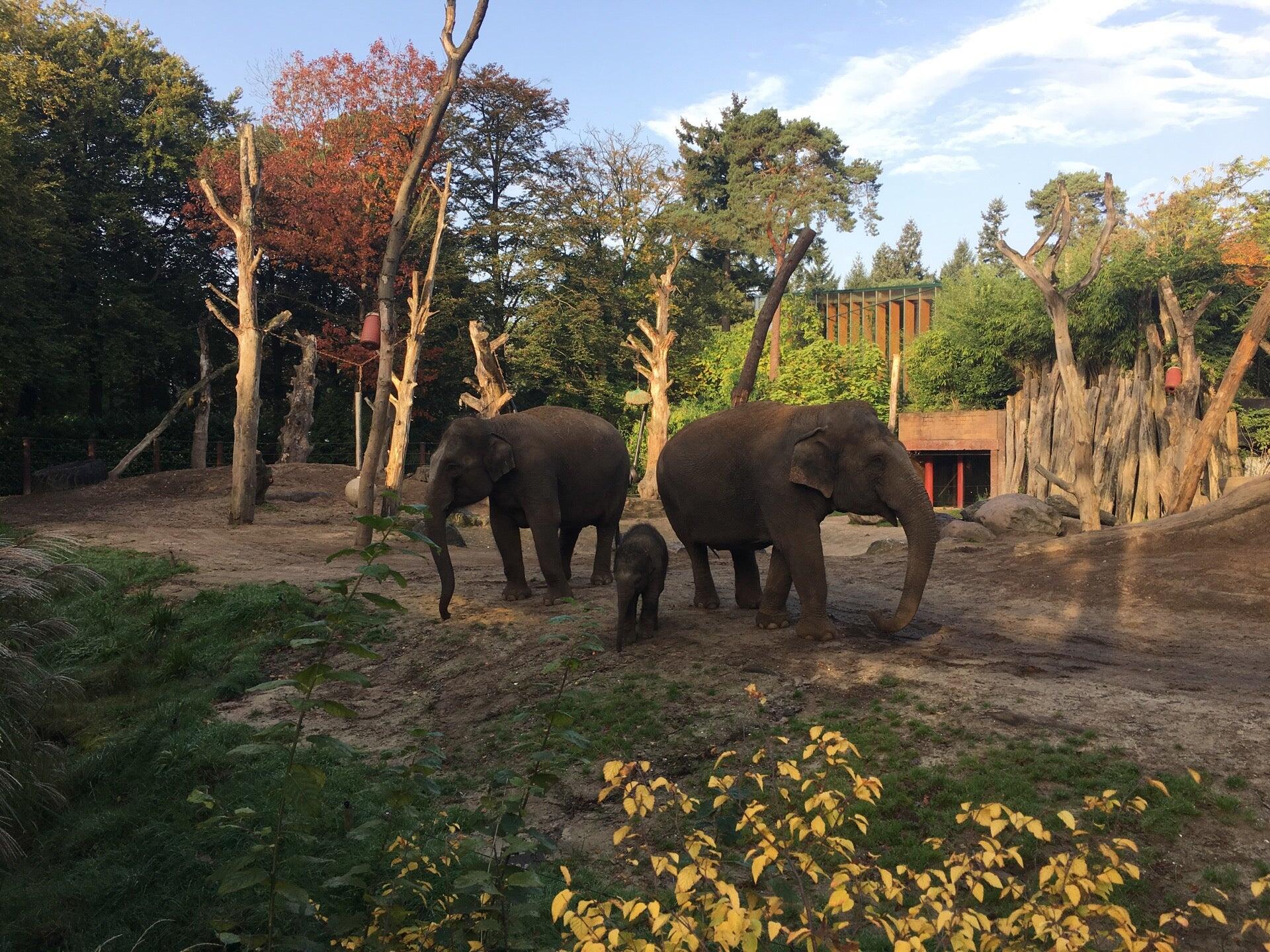 DierenPark Amersfoort - Nextdoor