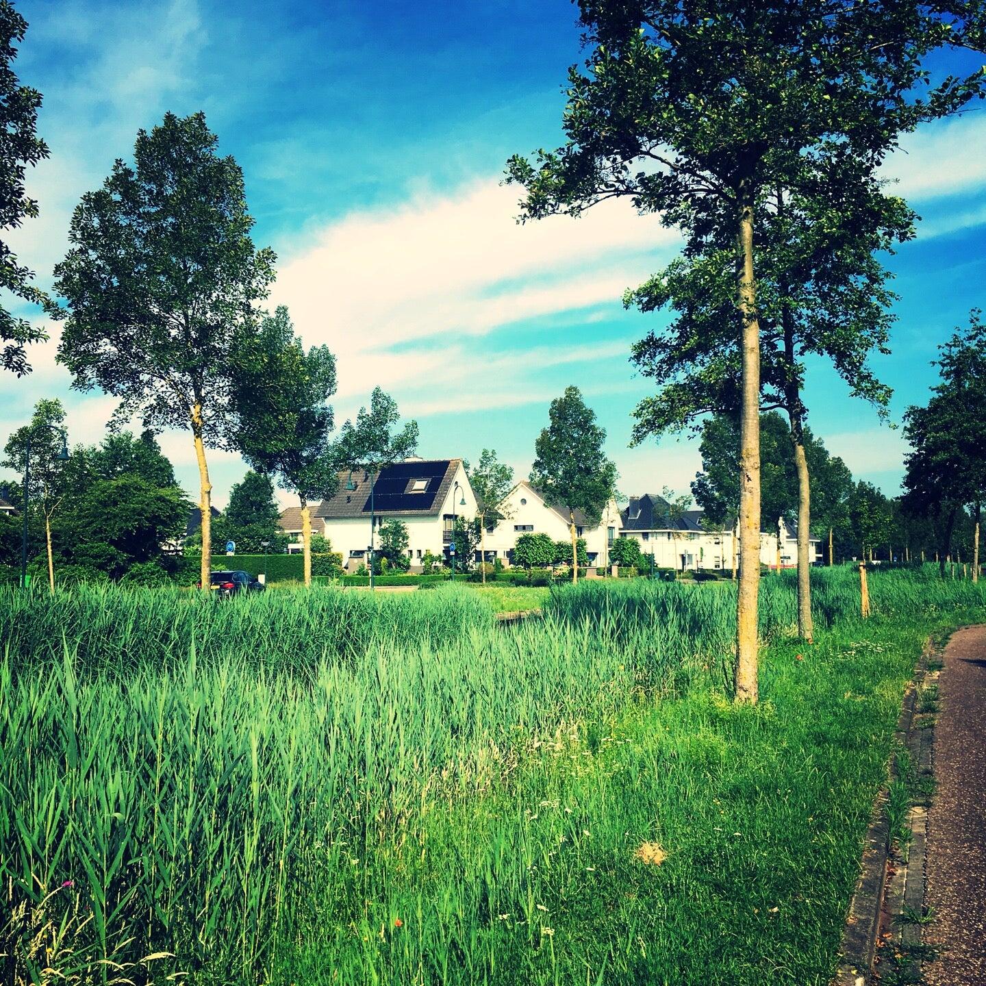 Dierdonk - Helmond, Noord-Brabant - Nextdoor