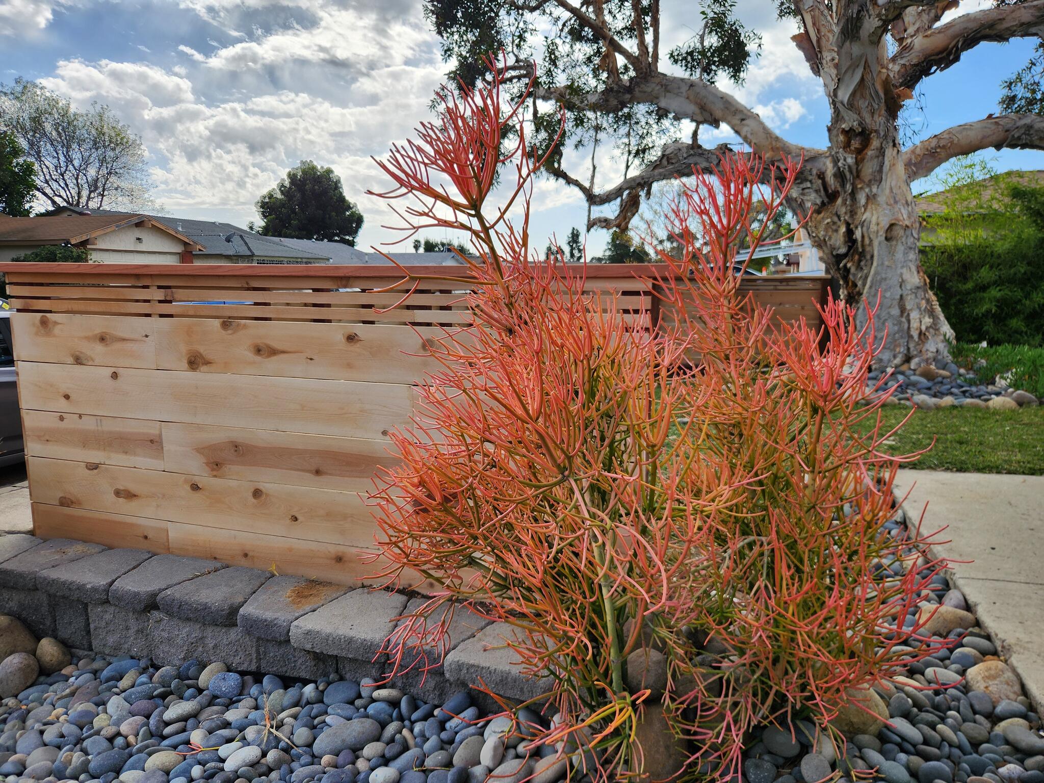 Rod creative mind - San Diego, CA - Nextdoor