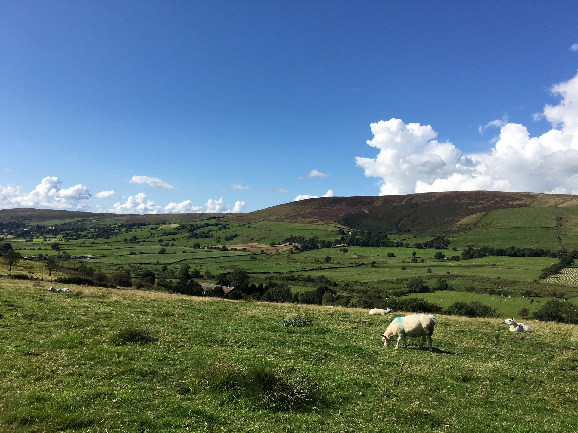 Height Top Farm Holiday Cottages - Higham - Nextdoor