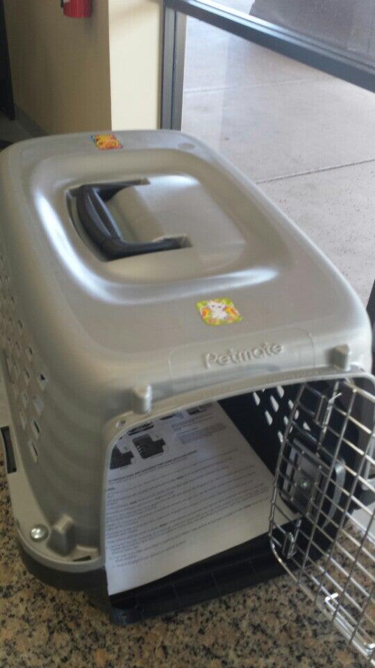 Altered Tails - Nextdoor