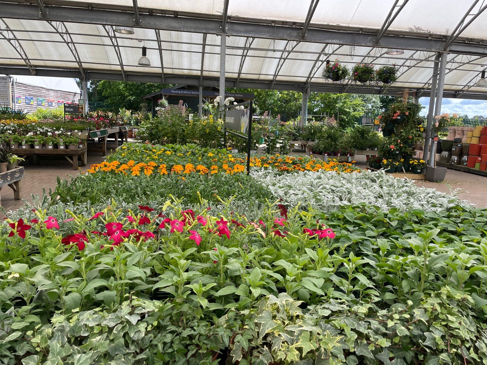 Dobbies Garden World - Bayston Hill - Nextdoor
