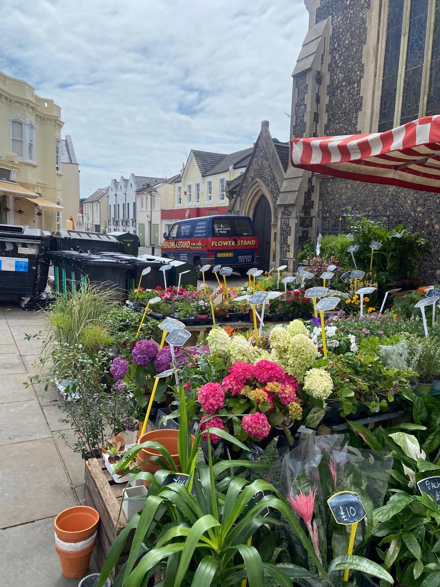 The Flower Stand - Hove - Nextdoor