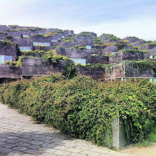 VM Bjerget - Nextdoor