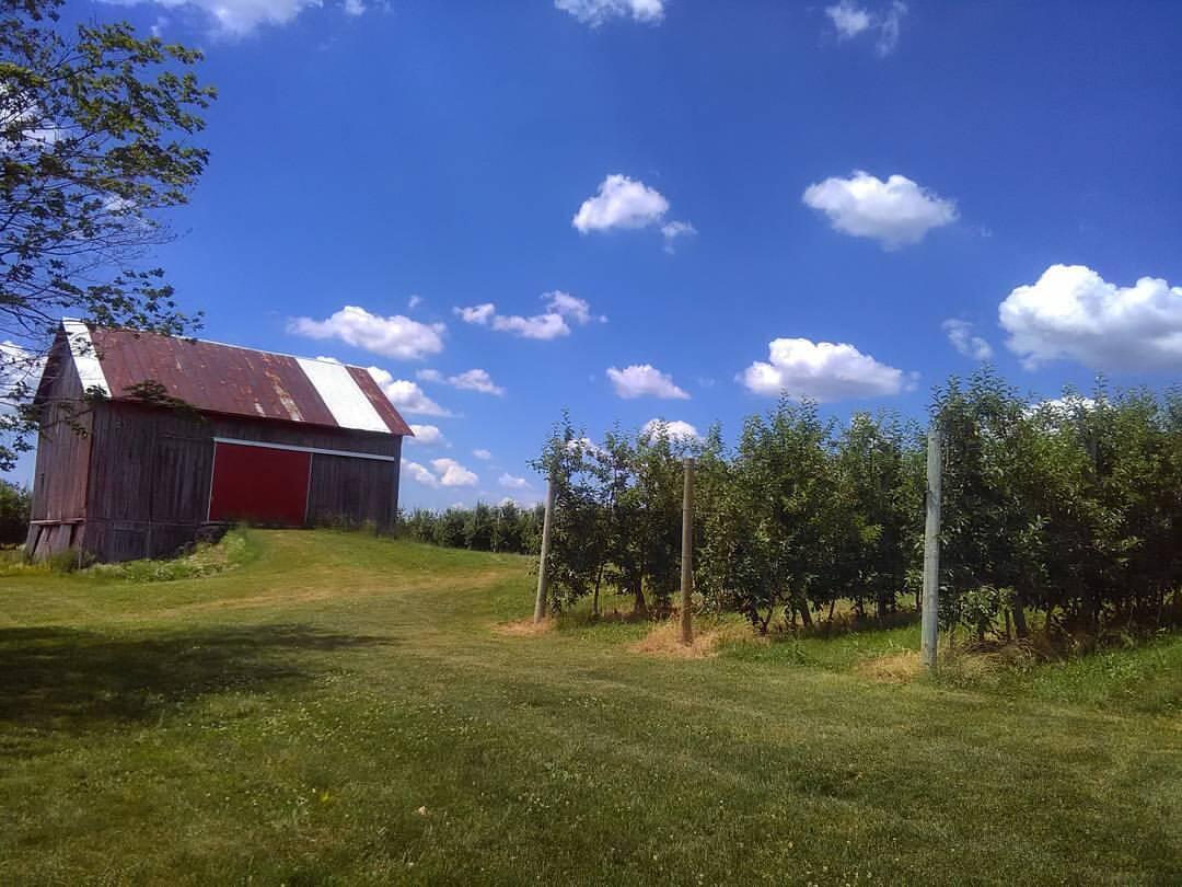 Dietrich Northridge Orchards - Kent City, MI - Nextdoor