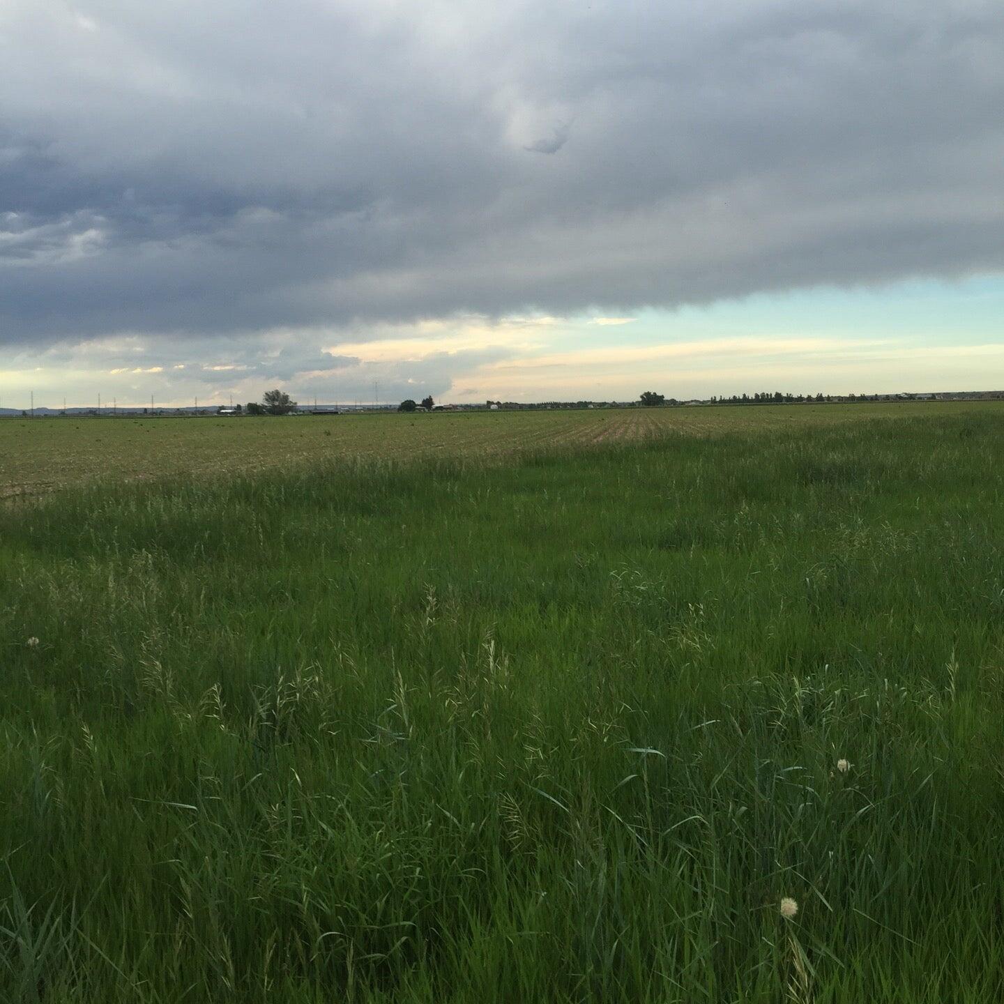 Bee Family Centennial Farm Museum - Fort Collins, CO - Nextdoor
