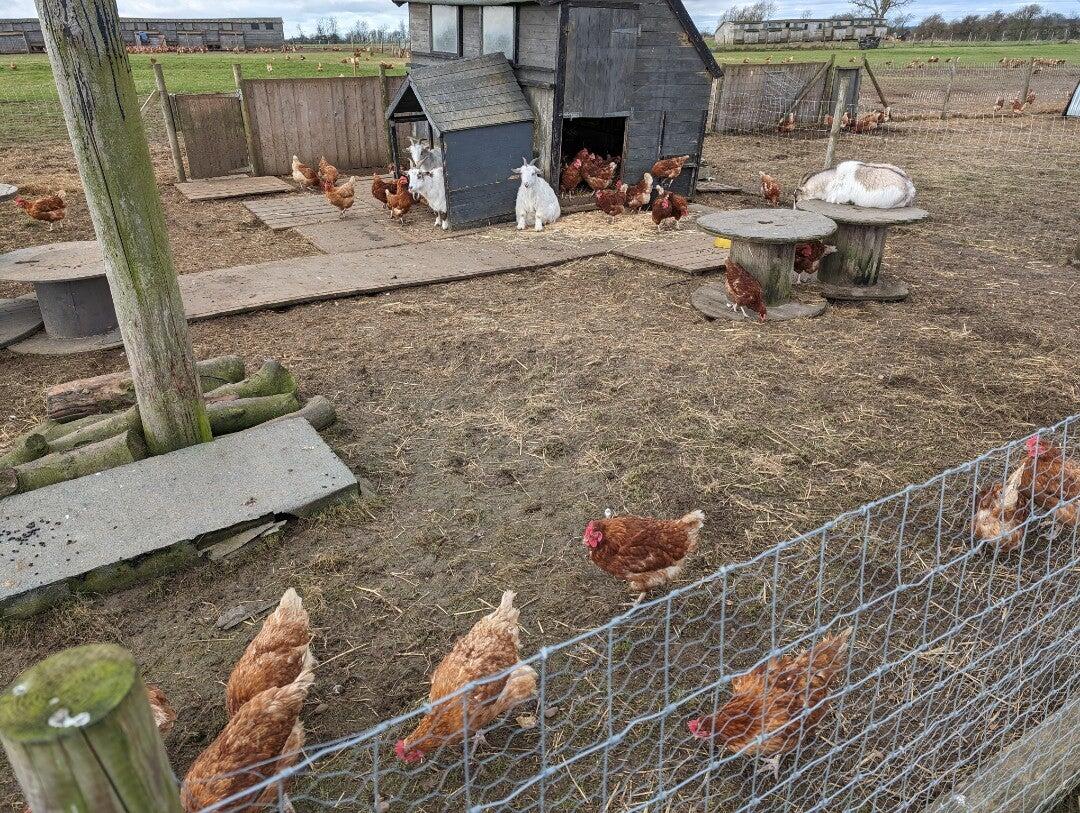 Mursley Farm Shop - Newton Longville - Nextdoor