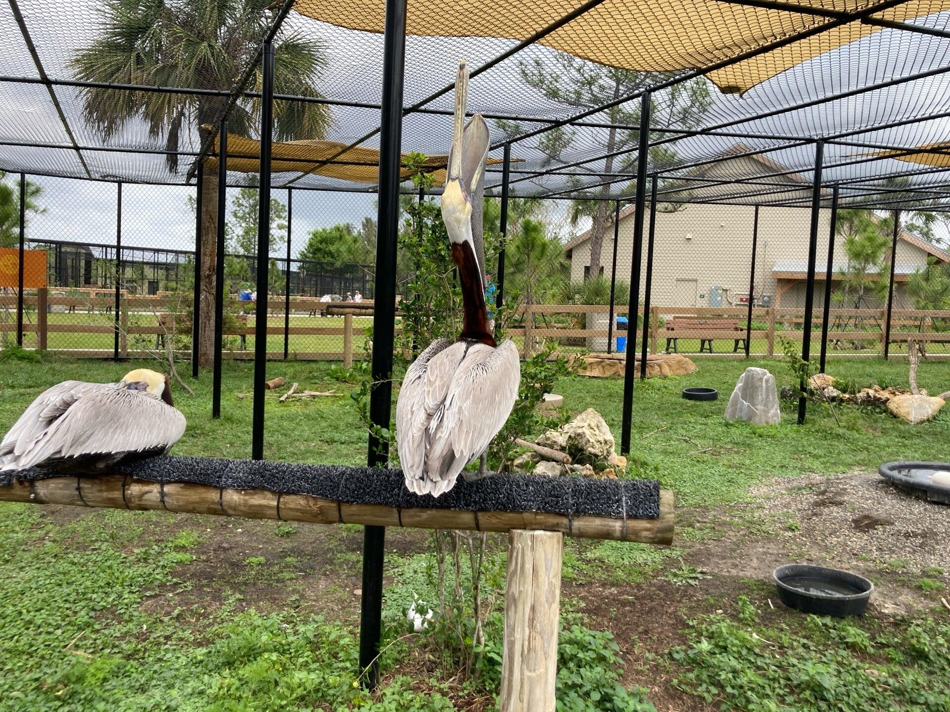 Busch Wildlife Sanctuary - Jupiter, FL - Nextdoor