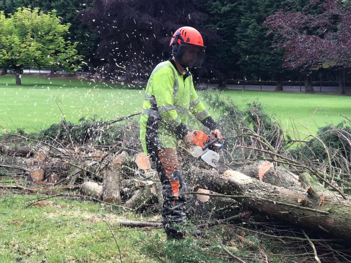 Ultra Tree Services Ltd - Blackburn - Nextdoor