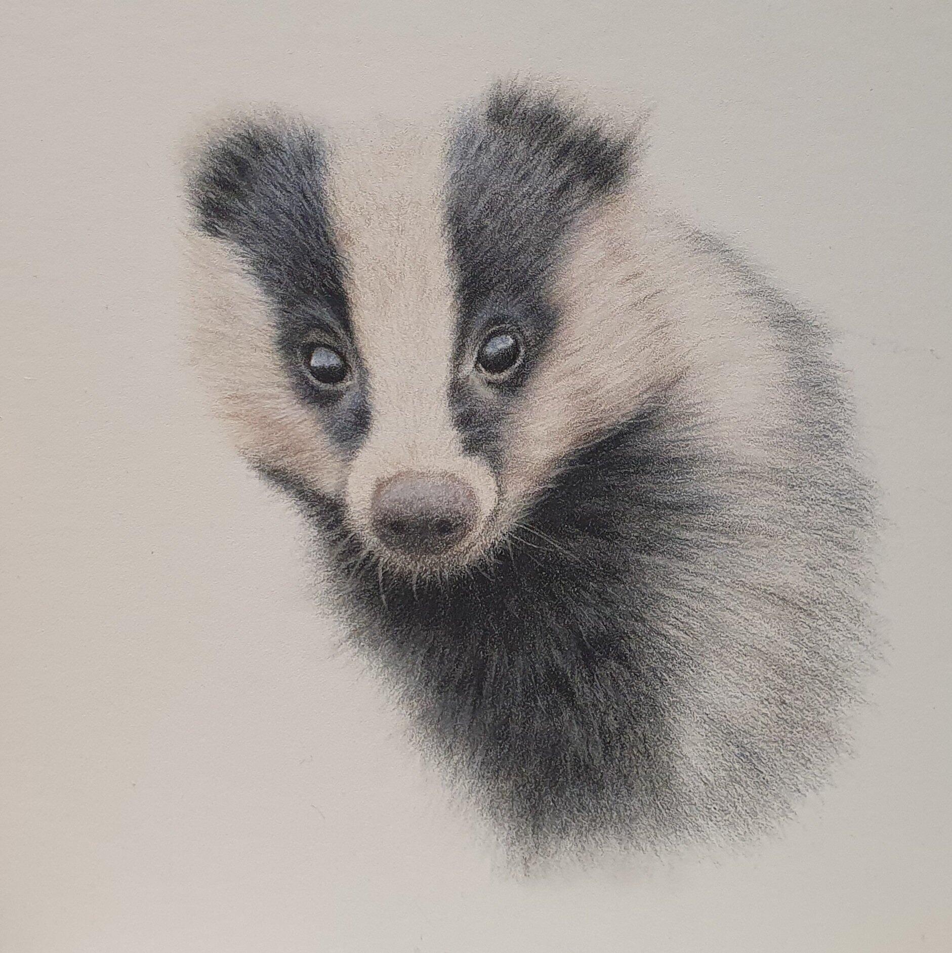 Amanda Scothern Art - Nextdoor