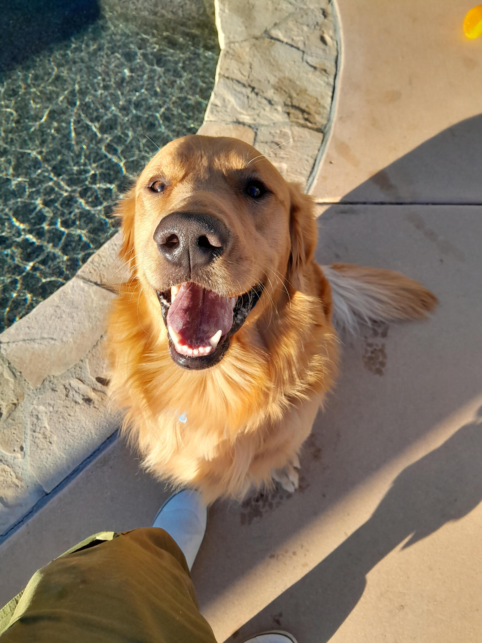 Big Dipper Pools - Nextdoor