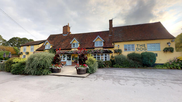 The Norton Dog - England - Nextdoor