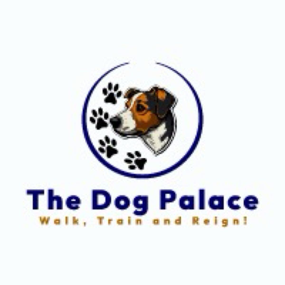 The Dog Palace - Nextdoor