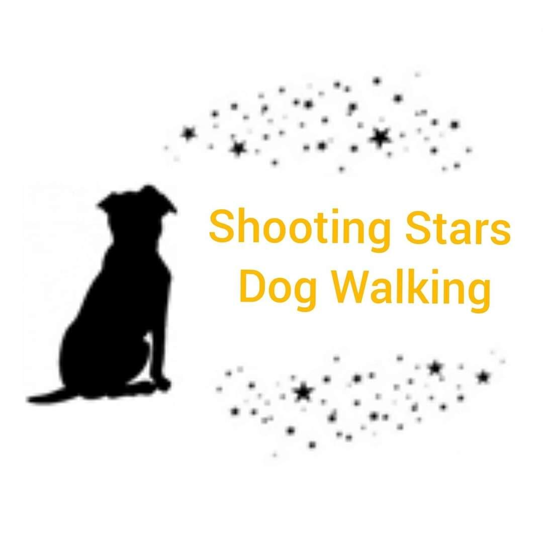 Shooting Stars Dog Walking - Nextdoor