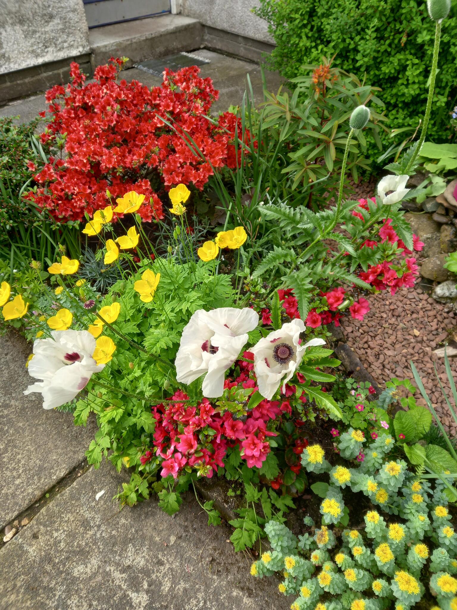 GROOVY GARDENS - Glasgow, GB-SCT - Nextdoor