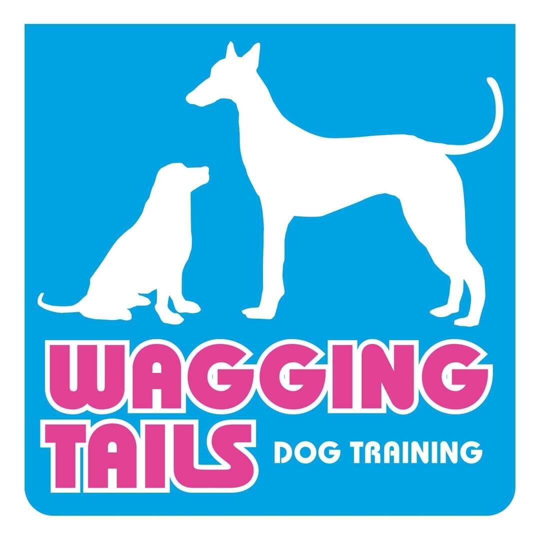 Wagging Tails Dog Training - Nextdoor