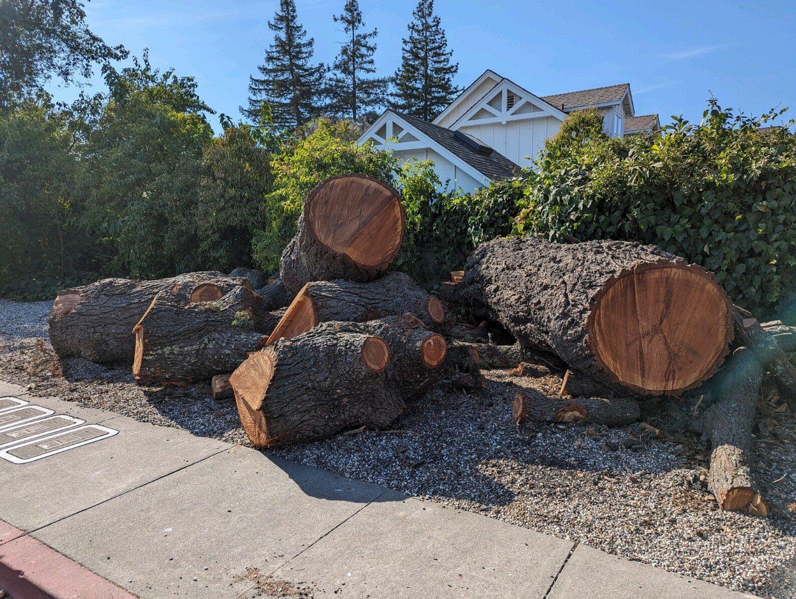 ASAP STUMP REMOVAL & TREE SERVICE - Napa, CA - Nextdoor