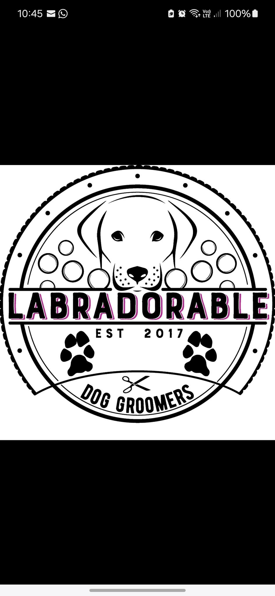 Labradorable Dog Grooming - Wickford, England - Nextdoor
