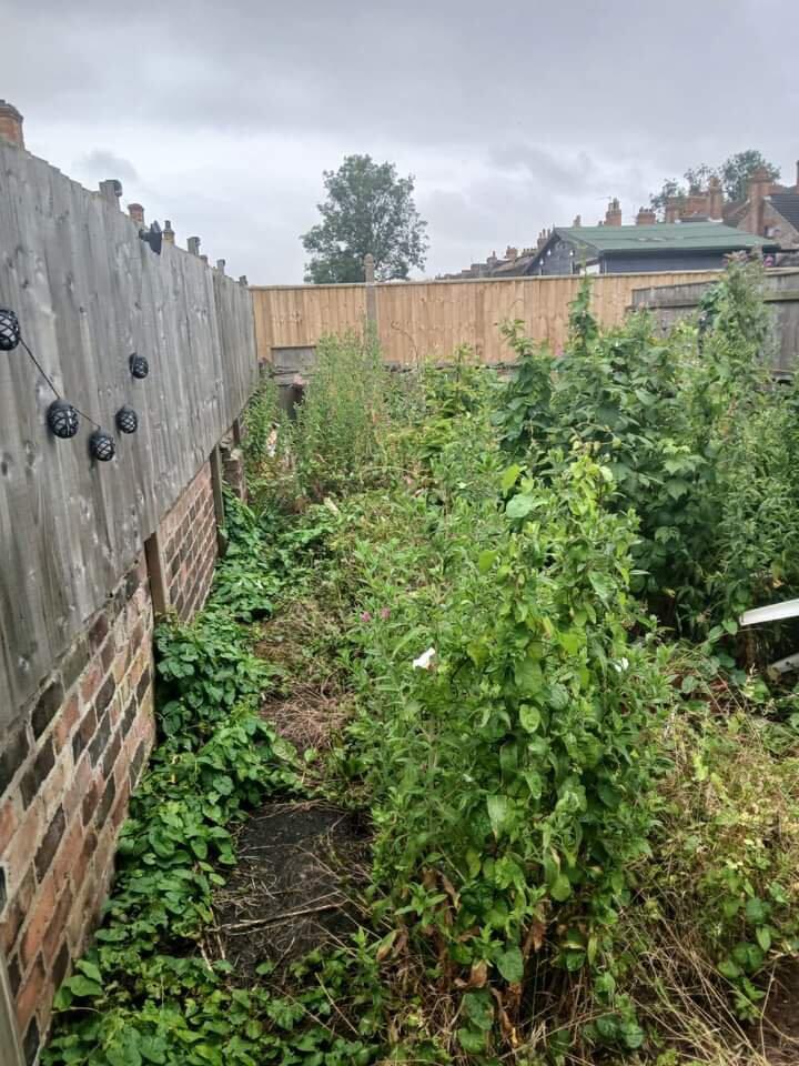 front and back garden cleaning - England - Nextdoor