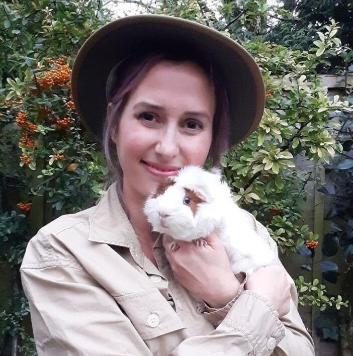 Little Critter Care - Expert Pet Sitter for cats, rabbits, guinea pigs ...