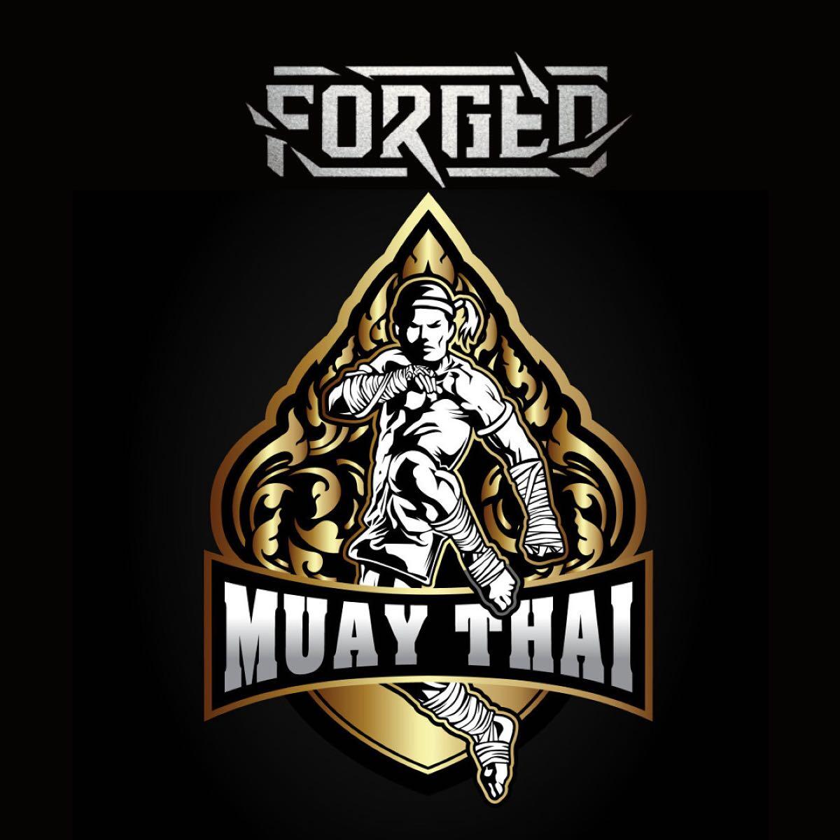 Forged muay thai - Luton, GB-ENG - Nextdoor