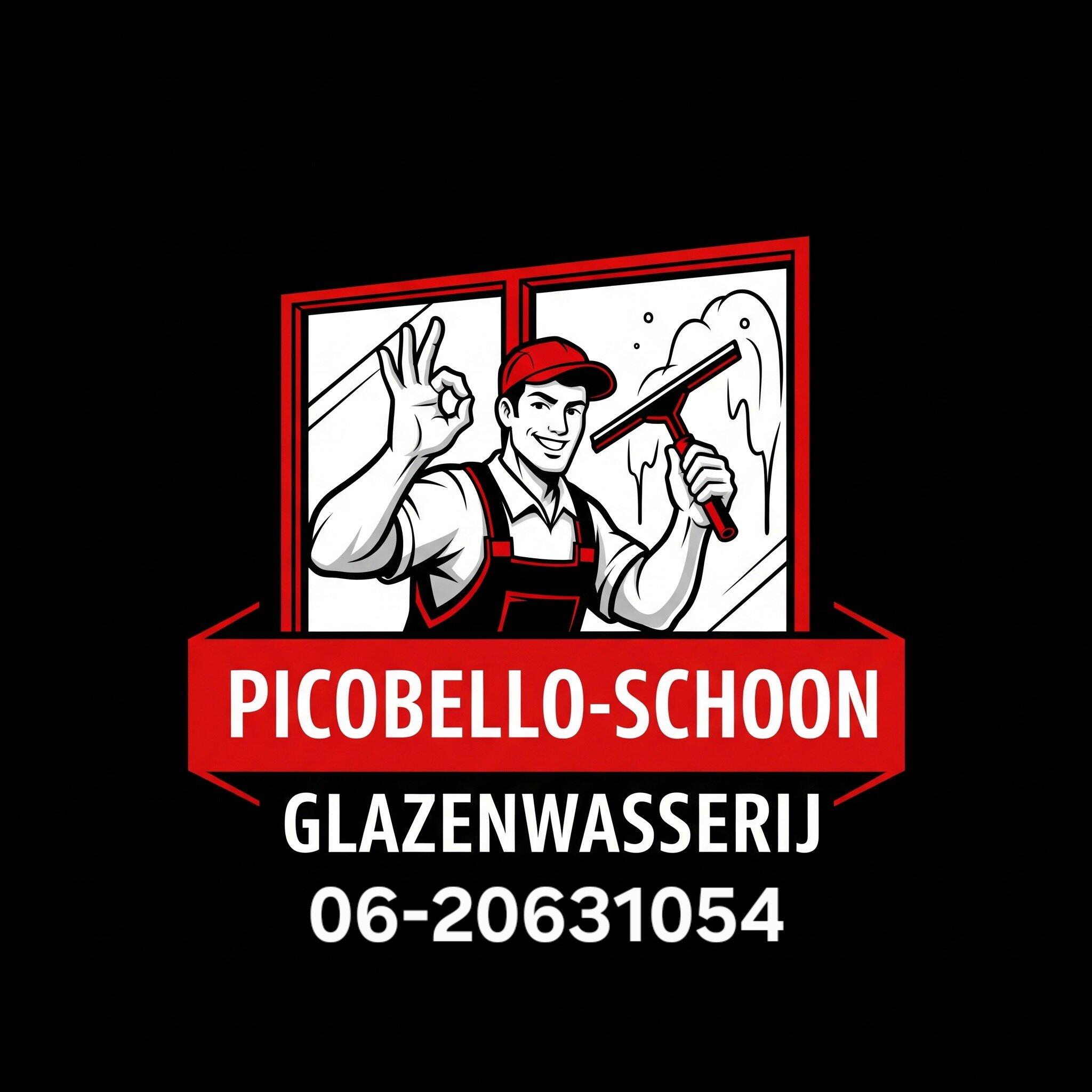 Picobello Schoon - Oosterhout NB, Noord-Brabant - Nextdoor