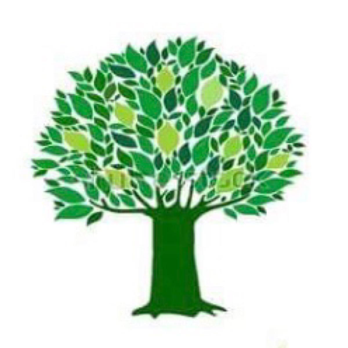 Lime tree landscaping - Warrington - Nextdoor