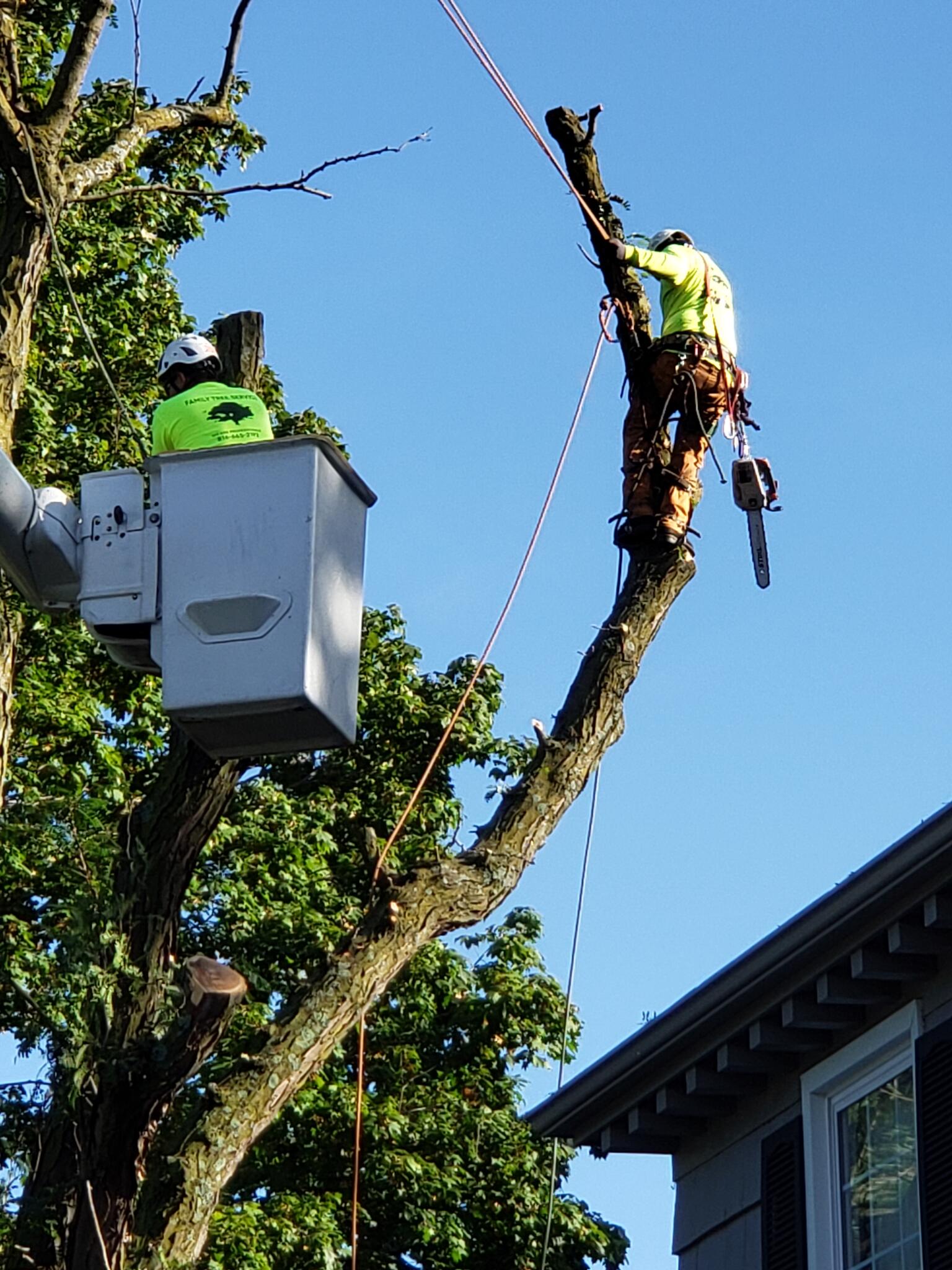 Family Tree Service - Kansas City, MO - Nextdoor