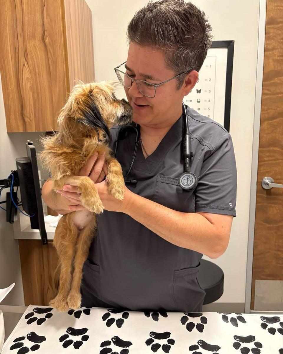 Desert Rose Animal Hospital - Phoenix, AZ - Nextdoor