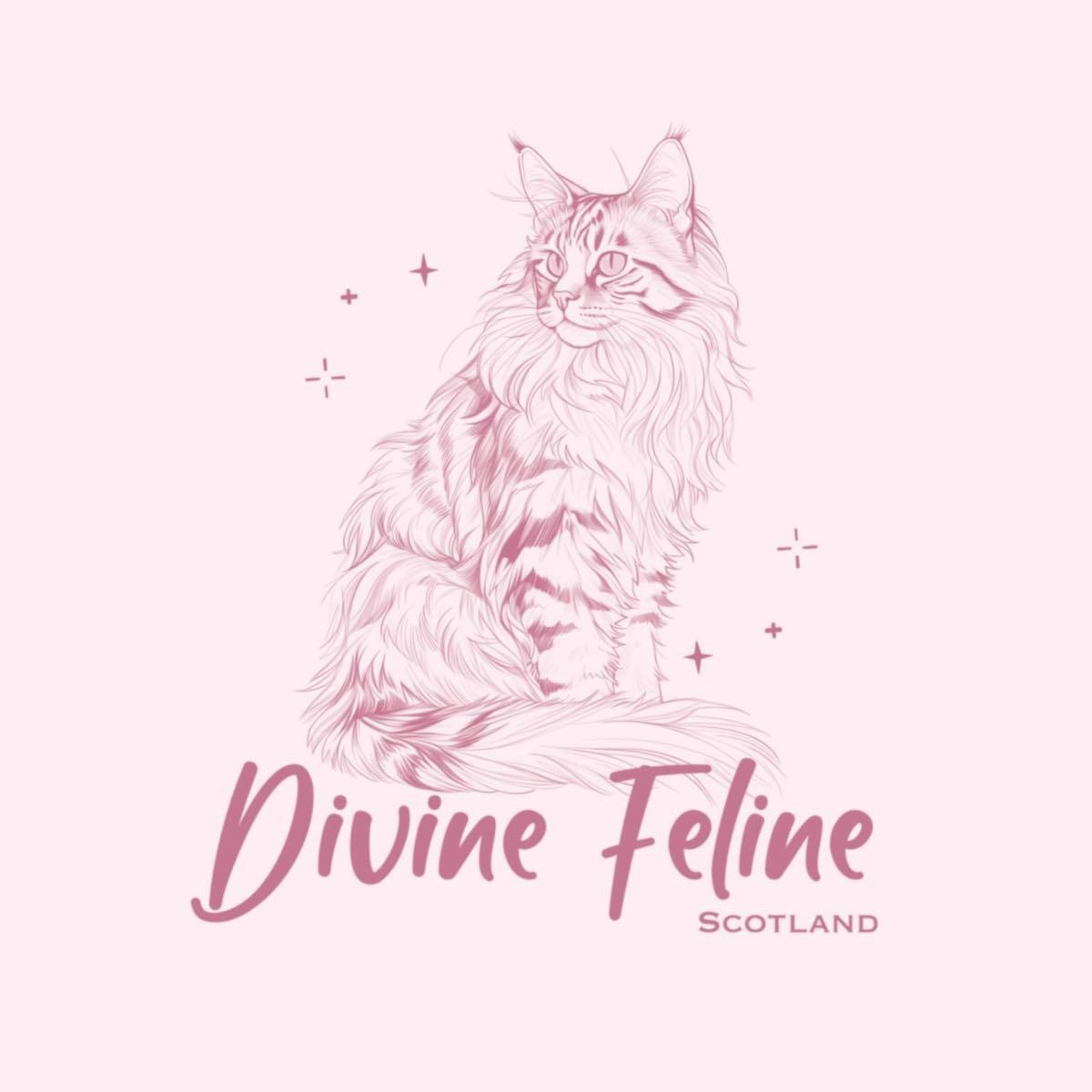 Divine Feline Scotland - Nextdoor