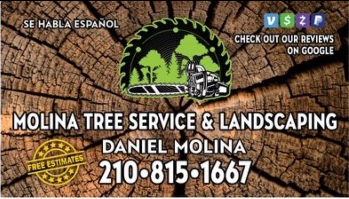 Molina tree service & landscaping - San Antonio, TX - Nextdoor