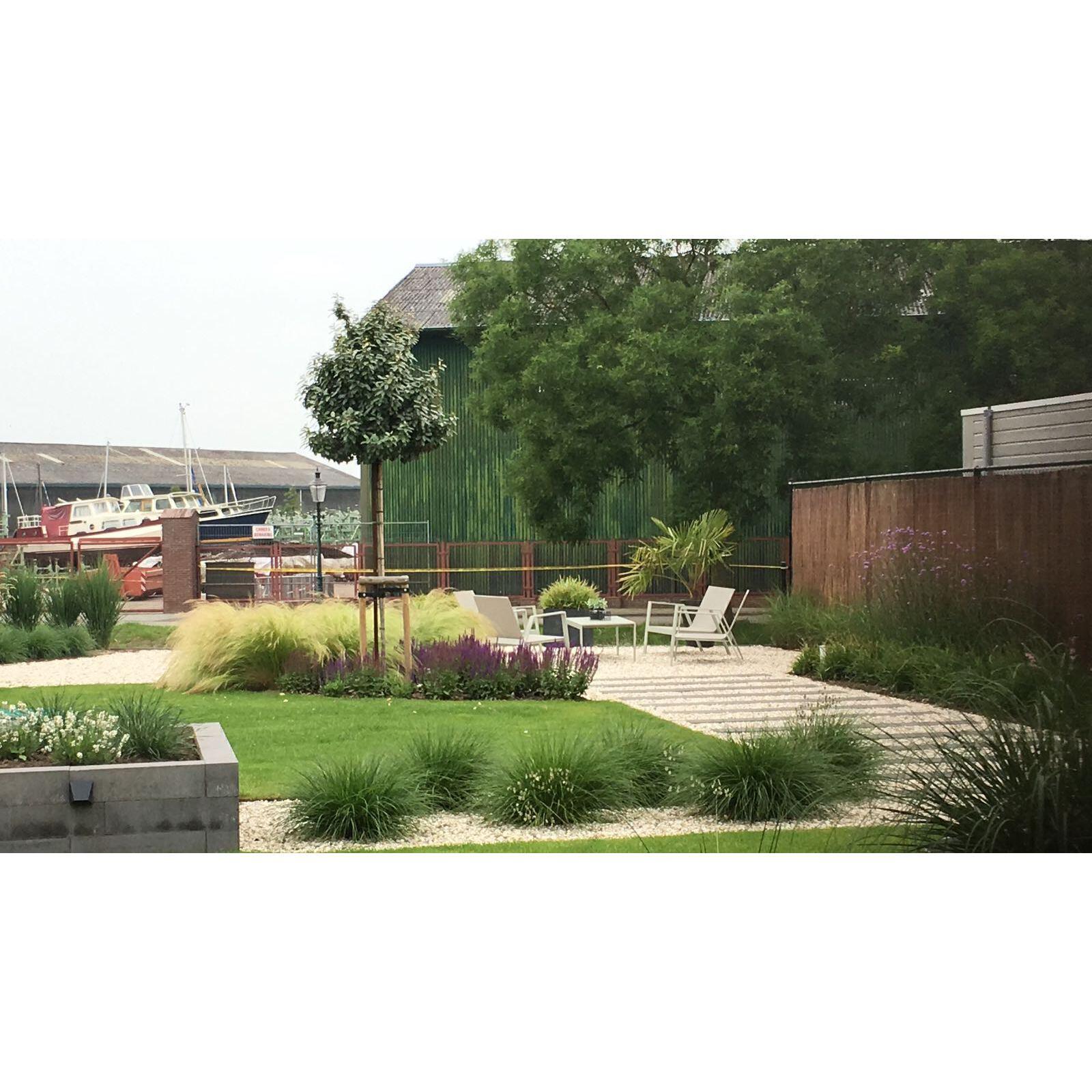 Cox Hoveniers - Nextdoor