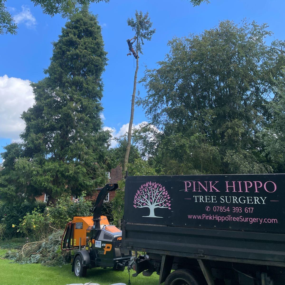 Pink Hippo Tree Surgery - Nextdoor